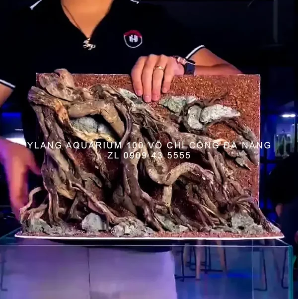 Layout vách suối - Ylang Aquarium & Coffee - Thủy sinh Đà Nẵng