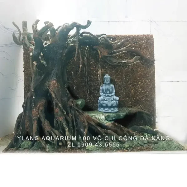 Layout Vách suối cây đa - Ylang Aquarium & Coffee - Thủy sinh Đà Nẵng